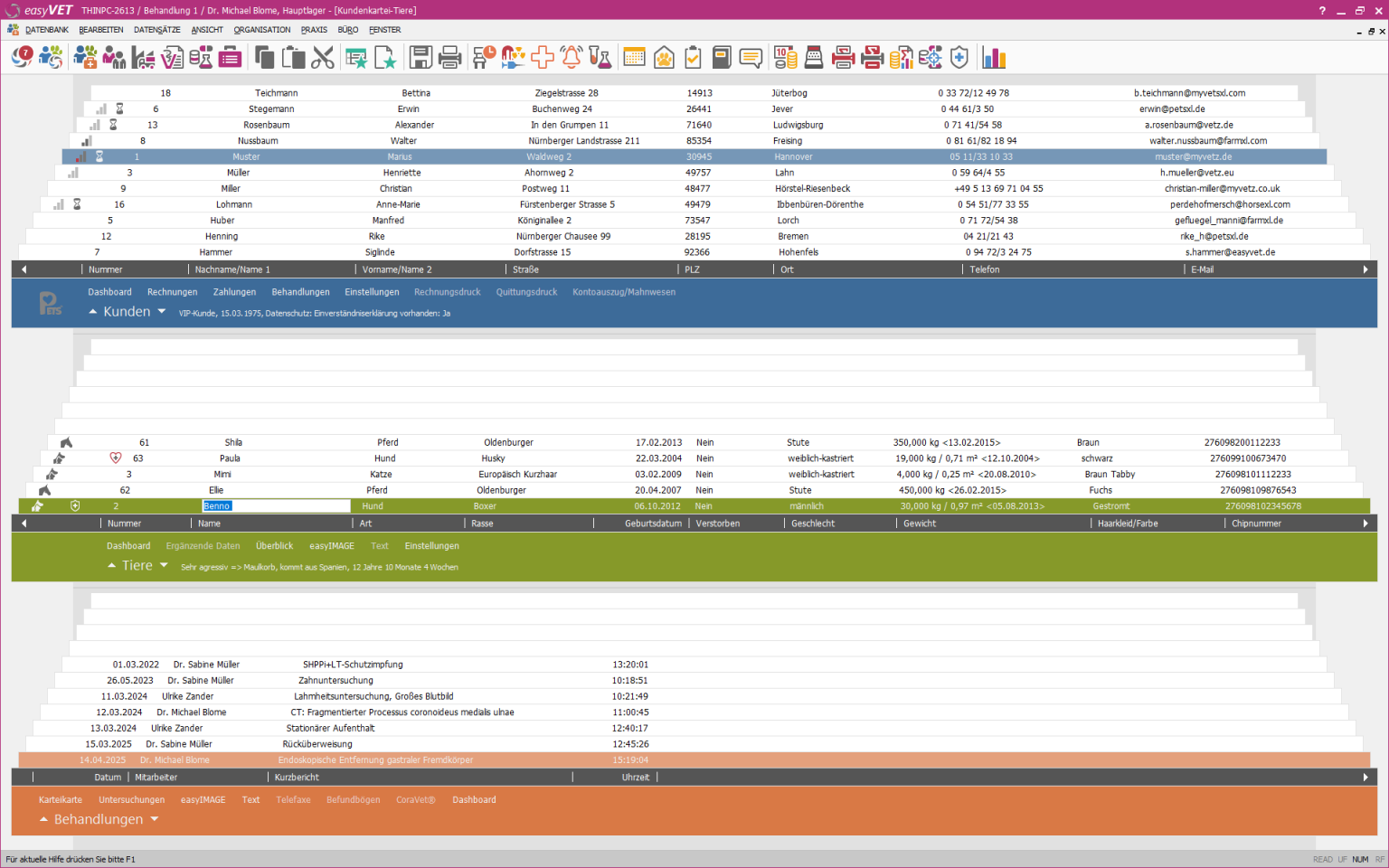 easyVET als Software für eure Tierarztpraxis? – Unsere Bewertung